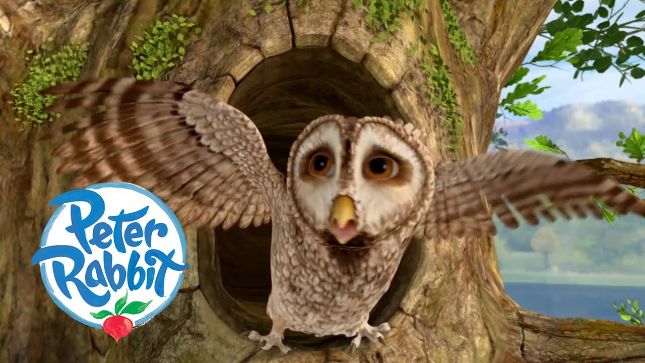 @OfficialPeterRabbit - Don't Wake a Sleeping Owl! | Cartoons for Kids ...