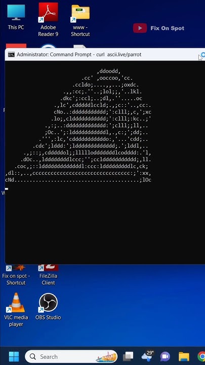 Parrot on Command Prompt | Command Line Magic Tricks! | dmd #windows #cmd #coding #2024 - YouTube
