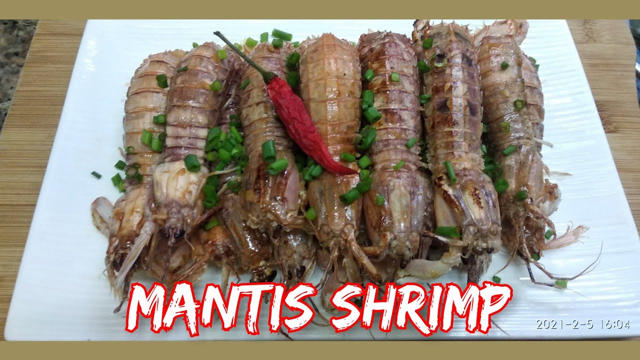 How to cook MANTIS SHRIMP | balbaltik - YouTube