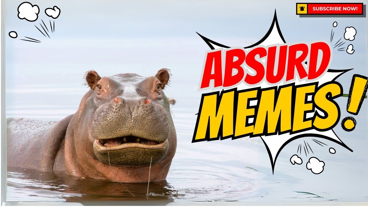 🔴 Absurd Random Memes Live – Hilarious Moments You’ll Never Expect ...