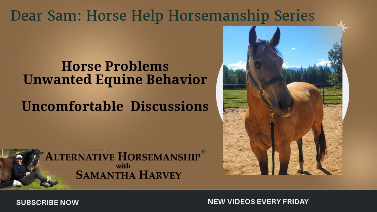 Horse Problems, Unwanted Equine Behaviors Dear Sam: Horse Help - YouTube