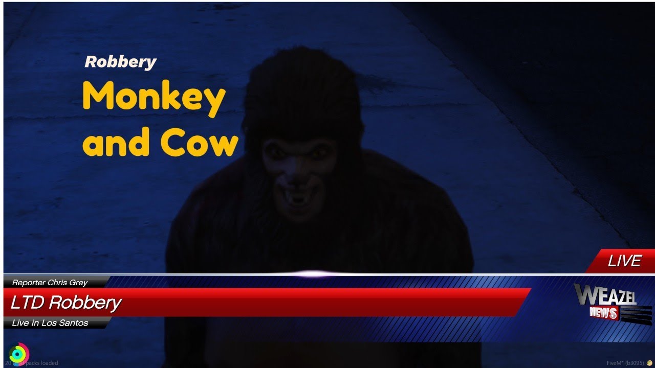 News Coverage of a Monkey and Cow Robbery! - YouTube