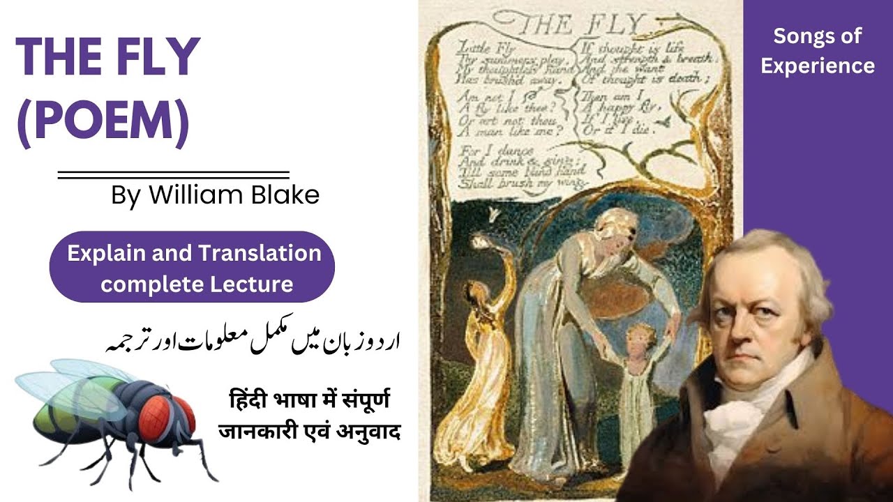 The Fly By William Blake - YouTube