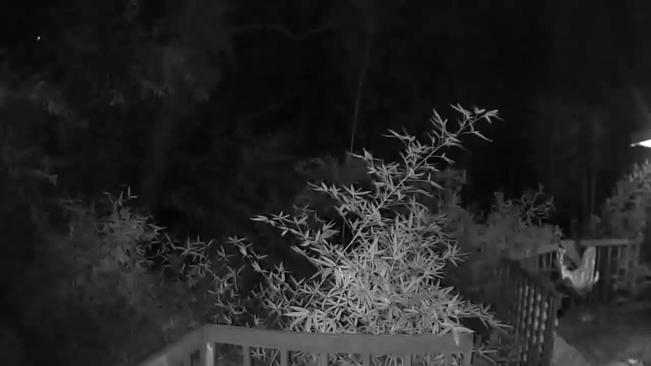 First video of orb caught on security camera in backyard. - YouTube