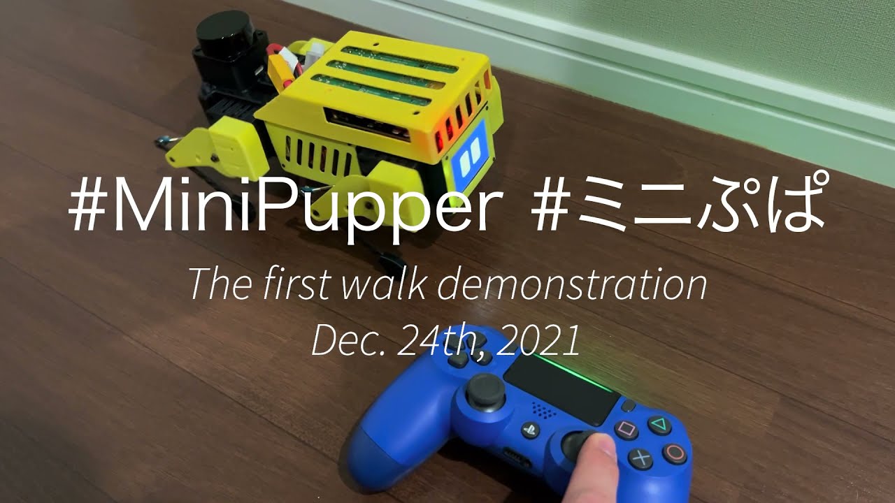 Mini Pupper v1 (Kickstarter edition) walking test - YouTube
