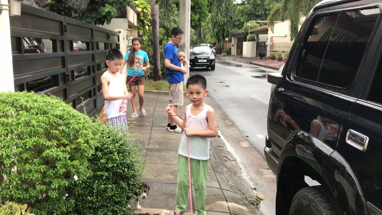 Sniff sniff cry cry - YouTube