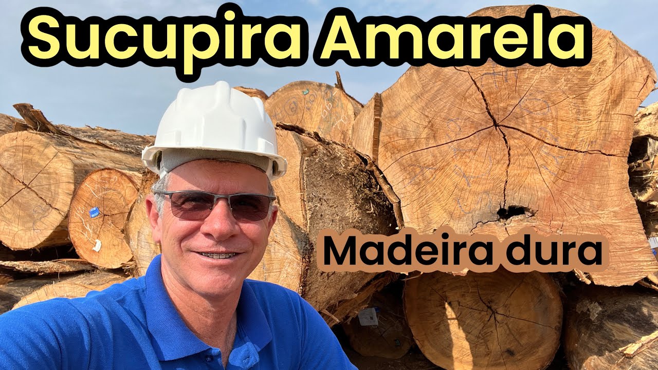 Uma das melhores madeiras da Amazônia com relação custo benefício de ...