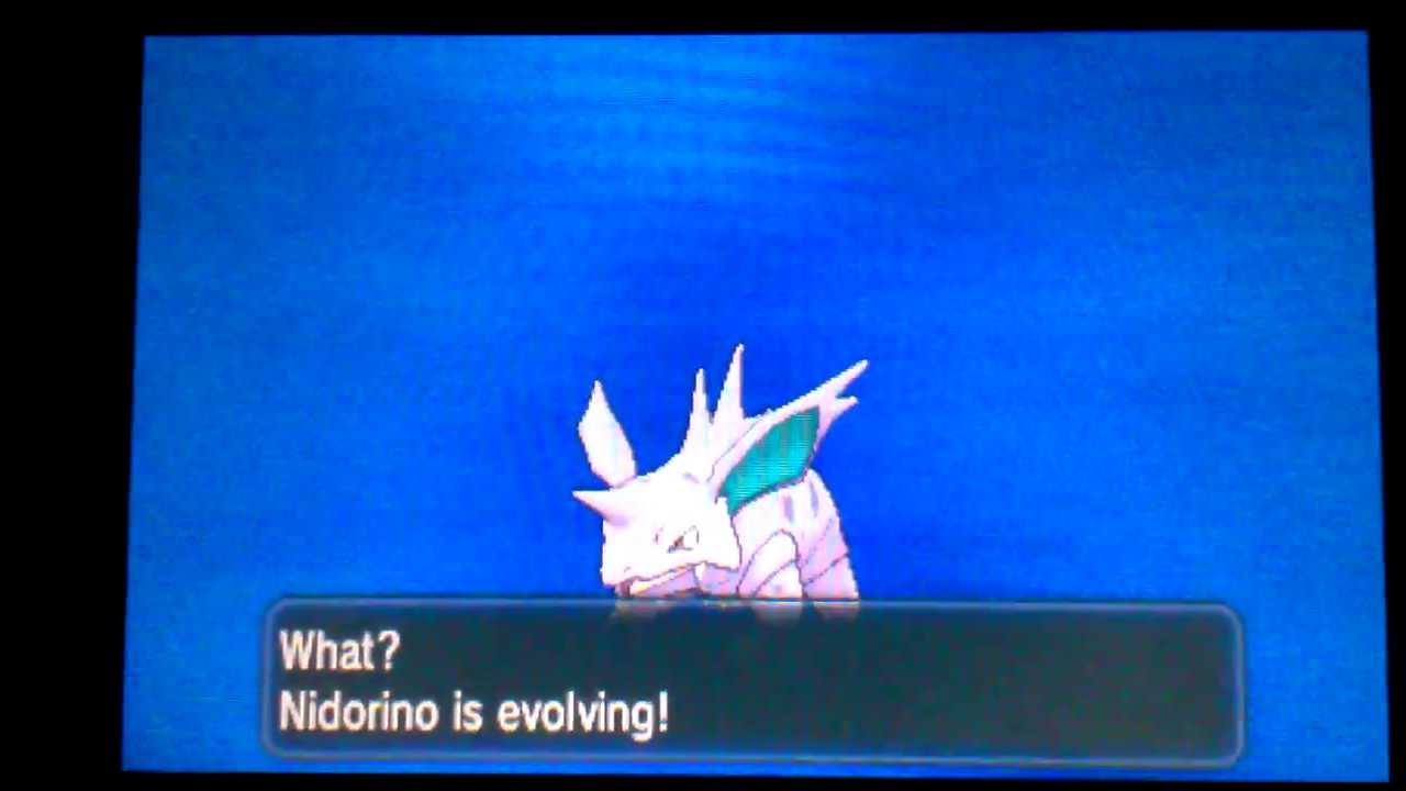 Pokemon X Nidorino Evolves into Nidoking - YouTube