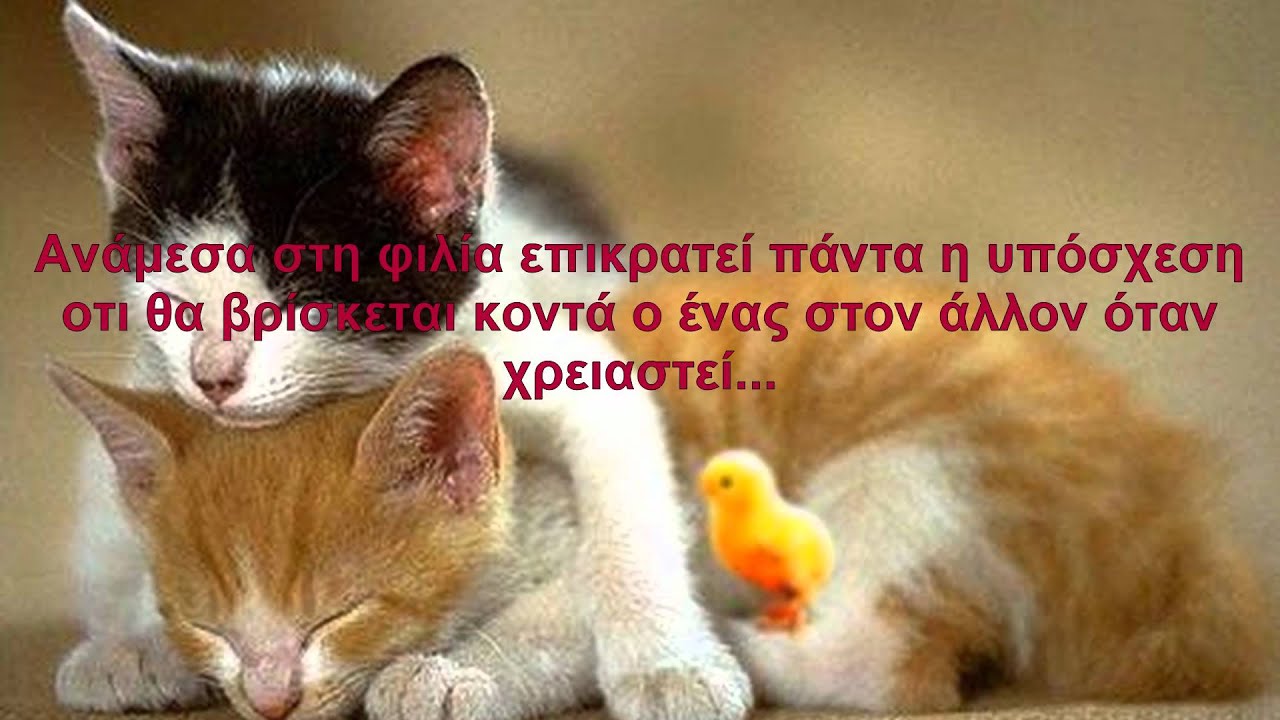 MIA ΚΡΥΦΗ ΕΥΑΙΣΘΗΣΙΑ (ΓΙΑ ΤΟΝ ΚΑΛΥΤΕΡΟ ΜΟΥ ΦΙΛΟ NICK) - YouTube