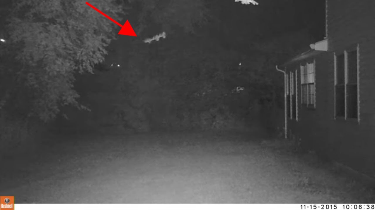 RARE SKYFISH SIGHTING ON CRITTERCAM (FLYING RODS) - YouTube