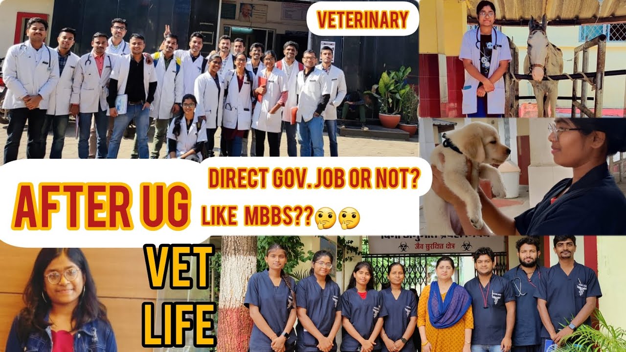 After UG direct veterinary Government job or not??just like mbbs👩‍⚕️💉🩺🐶 ...
