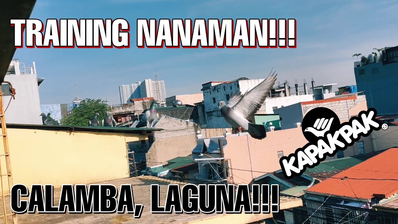 TRAINING NANAMAN!!! CALAMBA, LAGUNA!!! SMASHED!!! - YouTube