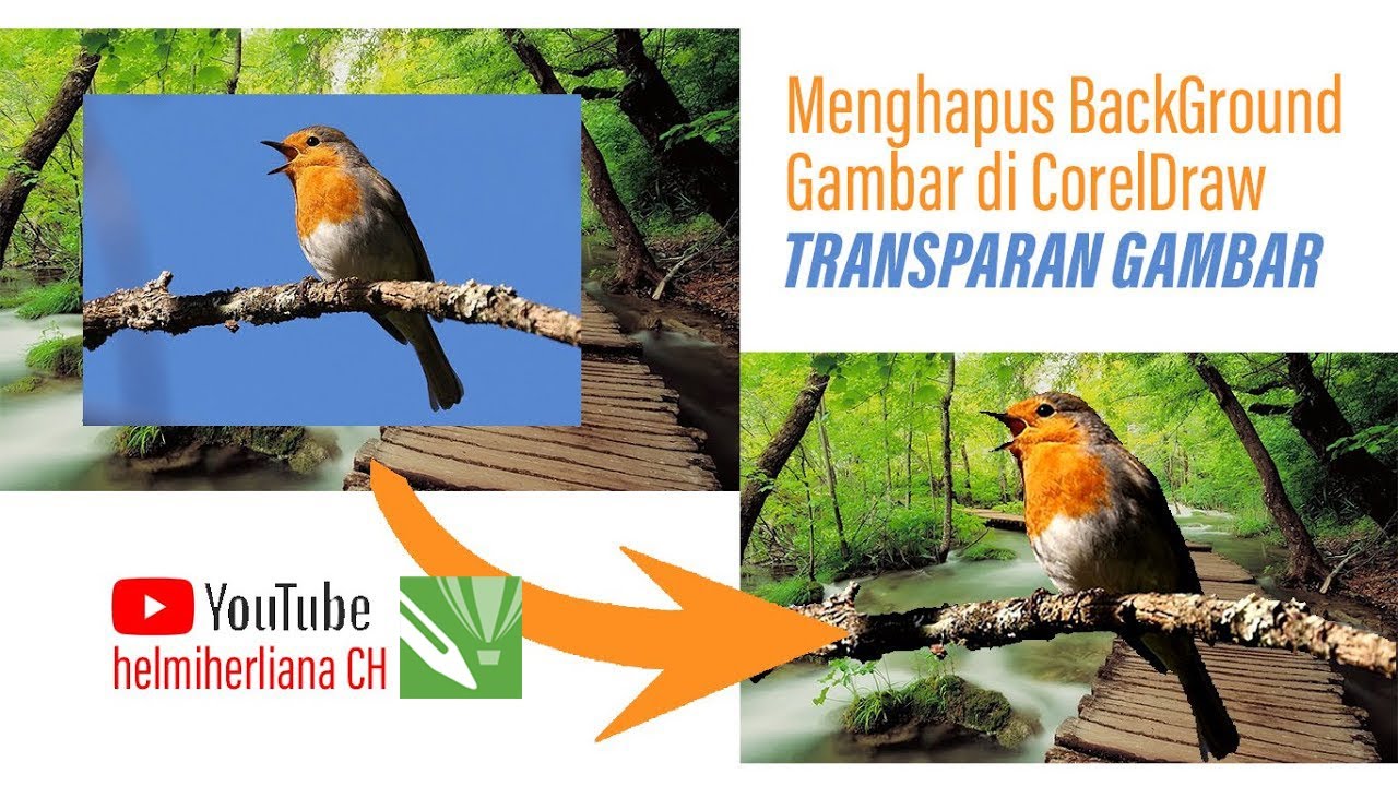Hapus Background Gambar Dengan Cepat di Corel Draw | Remove Image ...