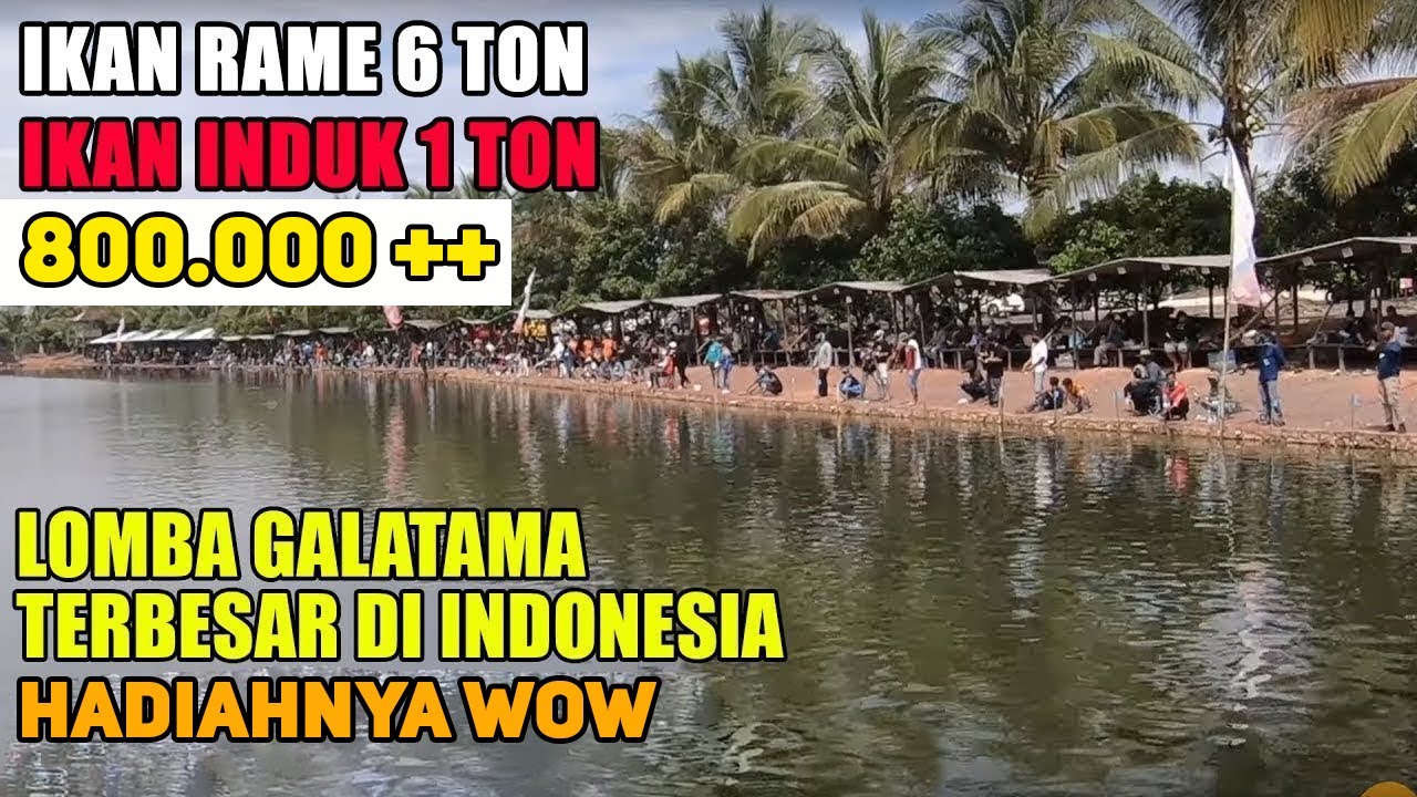 LOMBA MANCING GALATAMA PATIN TERBESAR DI INDONESIA || MANCING REKOR ...
