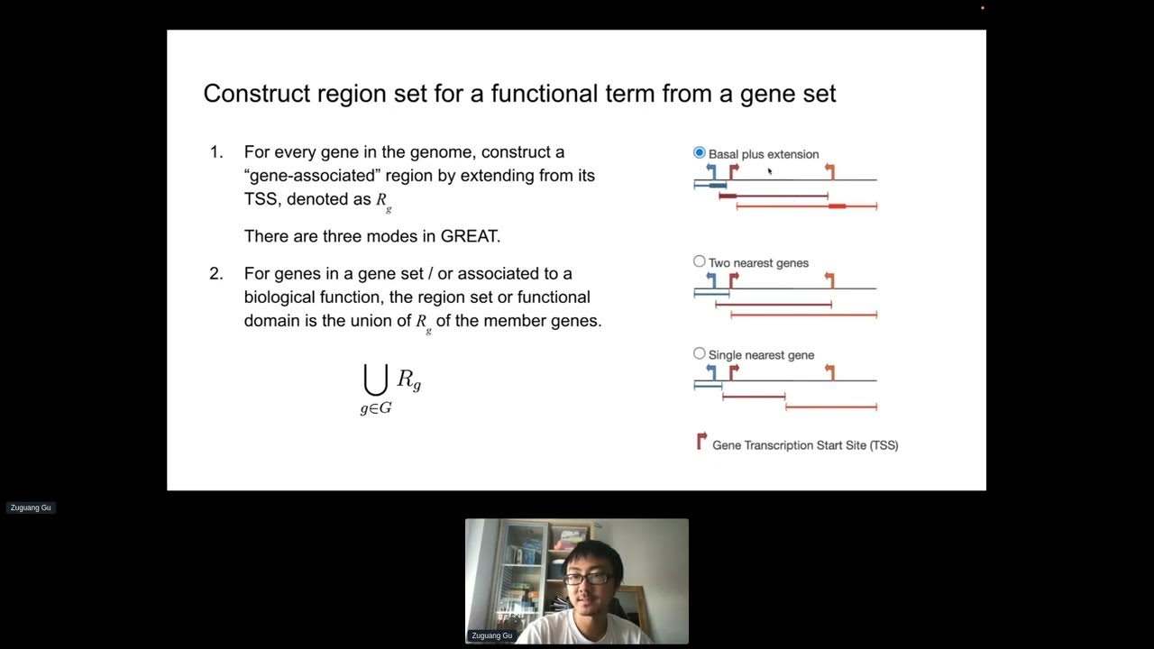 Package Demo Rgreat An R Bioconductor Package For Functional