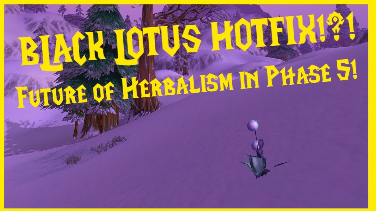 Classic WoW: BLACK LOTUS HOTFIX! Herbalism moving into Phase 5! - YouTube