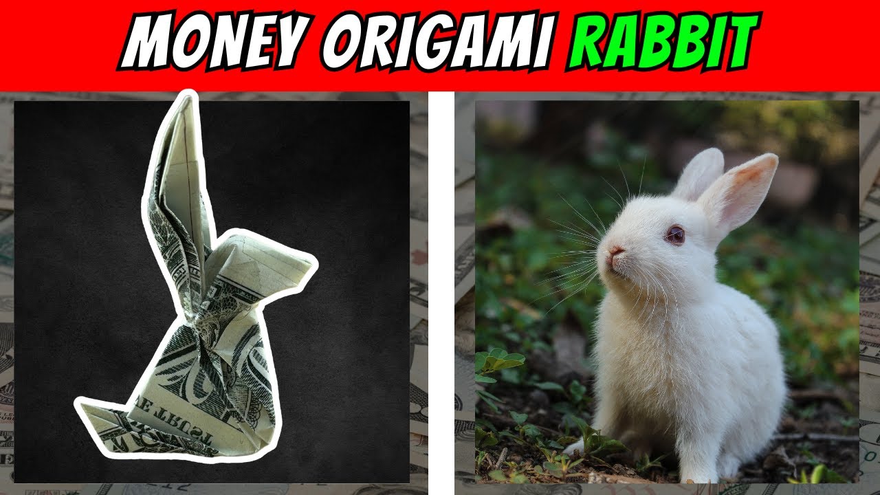 Adorable Money Origami Rabbit - Unique Gift Idea! - YouTube