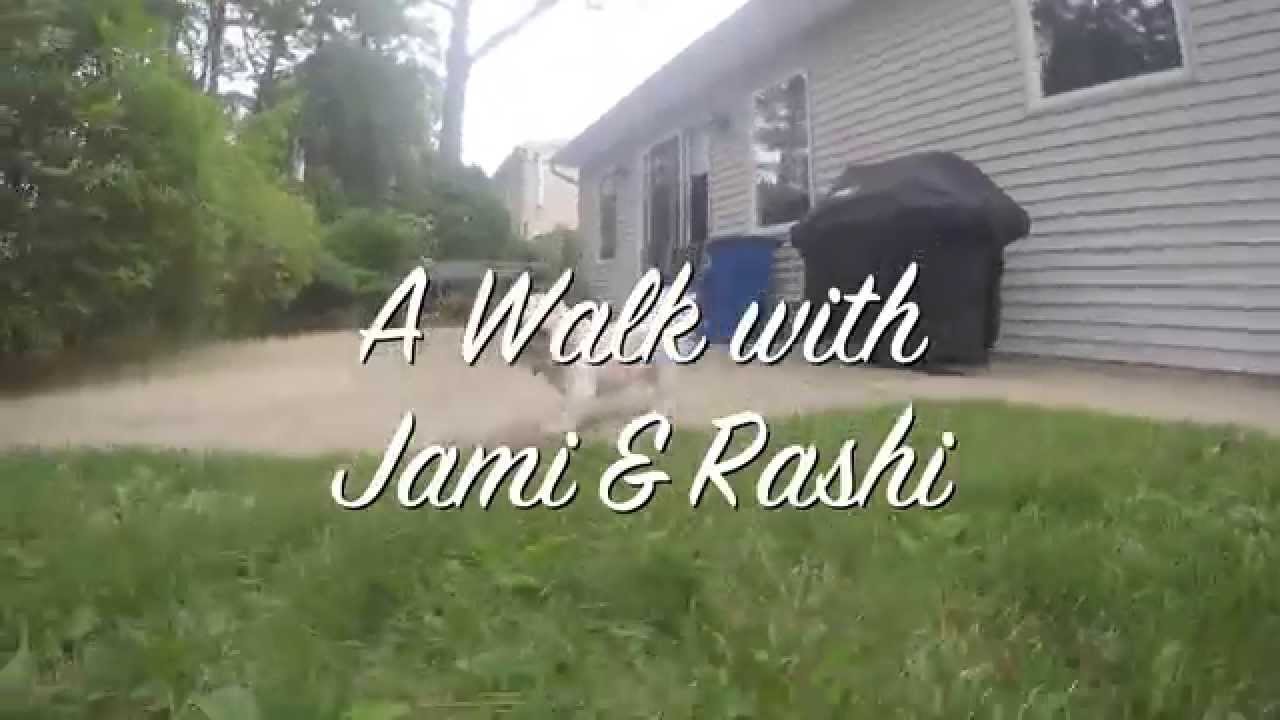 A Walk with Jami and Rashi GoPro HD - YouTube