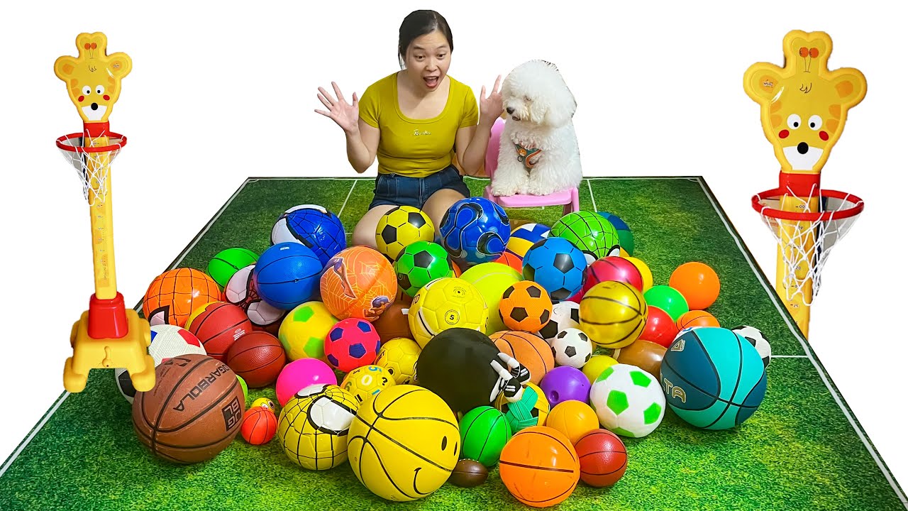 Sorting Balls by Color & Counting for Kids with Cute Dog | Playing ...