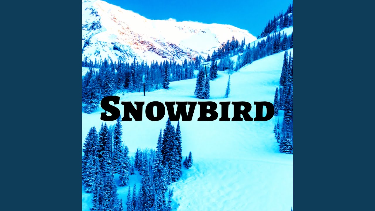 Snowbird - YouTube