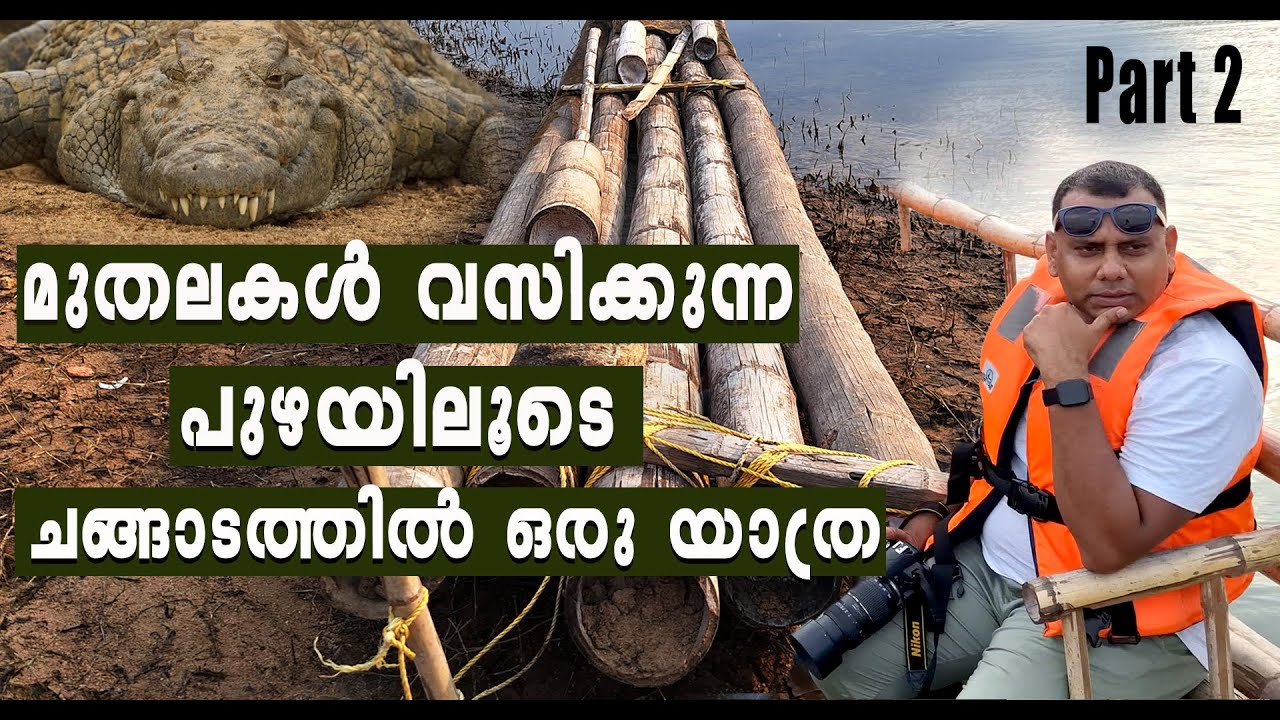 Bamboo rafting at Parambikulam Tiger Reserve | Parambikulam Tiger ...