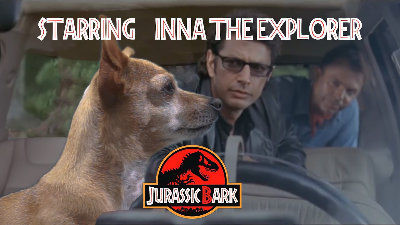 Jurassic Park but with a dog - YouTube