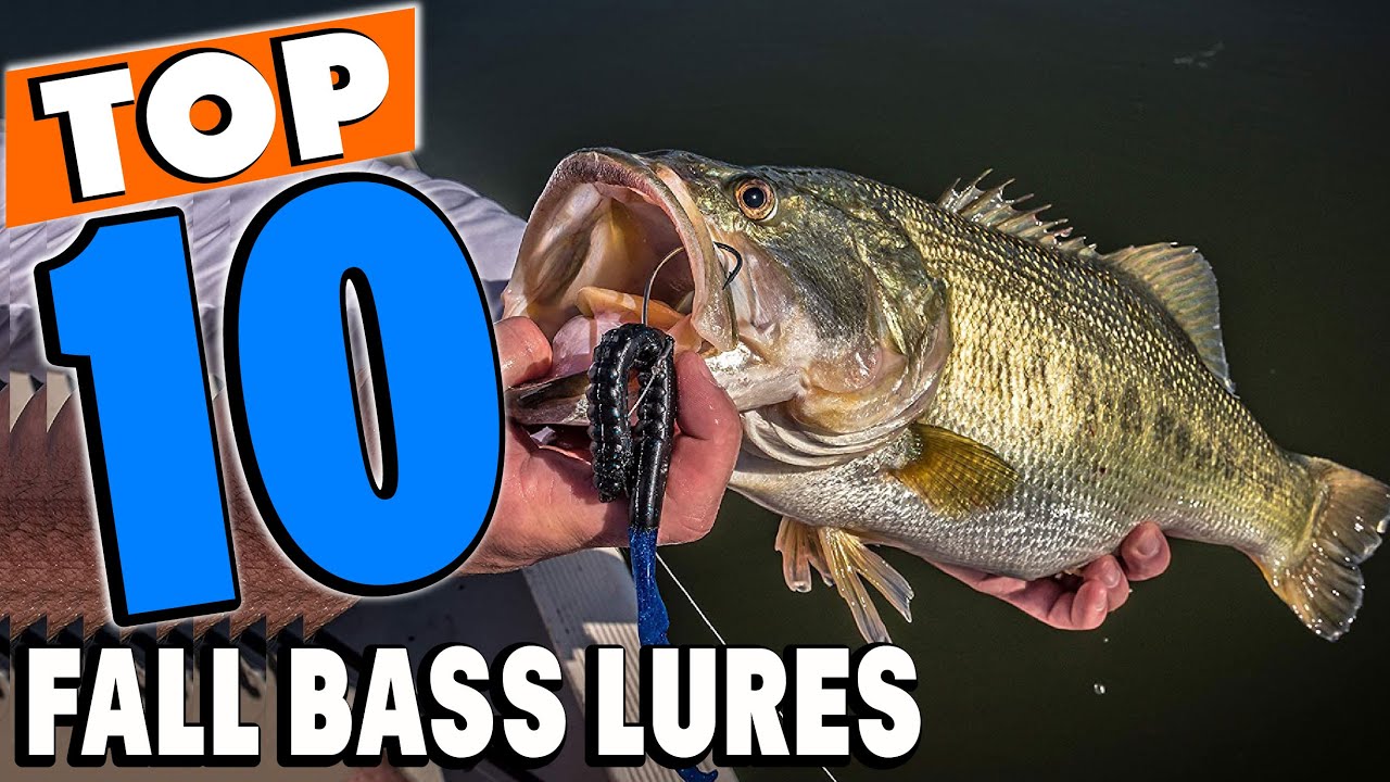 Top 10 Best fall bass lures Review in 2024 - YouTube