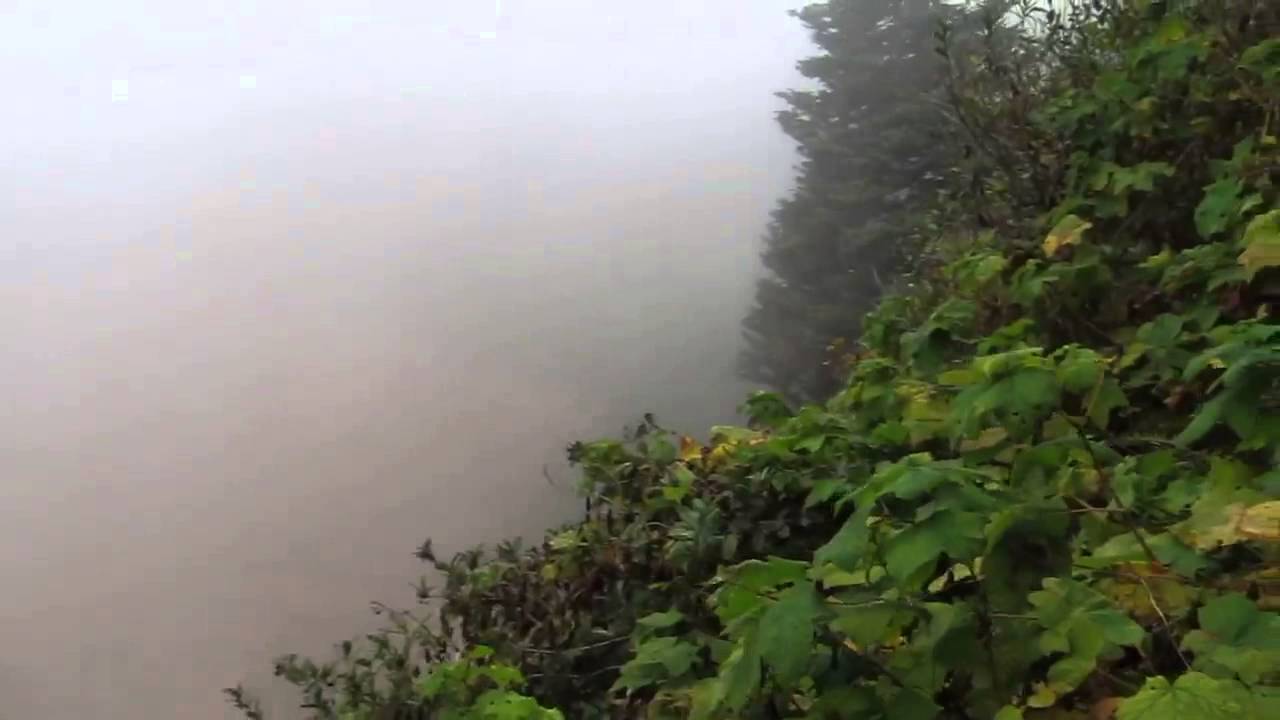 Creepy Ocean Cliff - YouTube