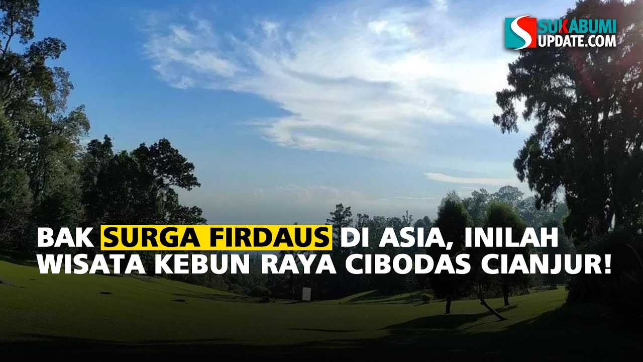 Bak Surga Firdaus di Asia, Inilah Wisata Kebun Raya Cibodas Cianjur ...