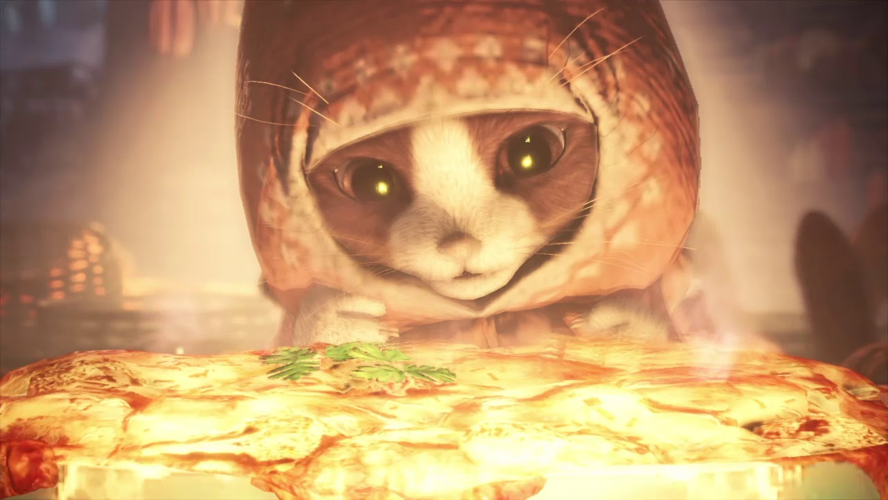 Grandma Cat :3 - YouTube