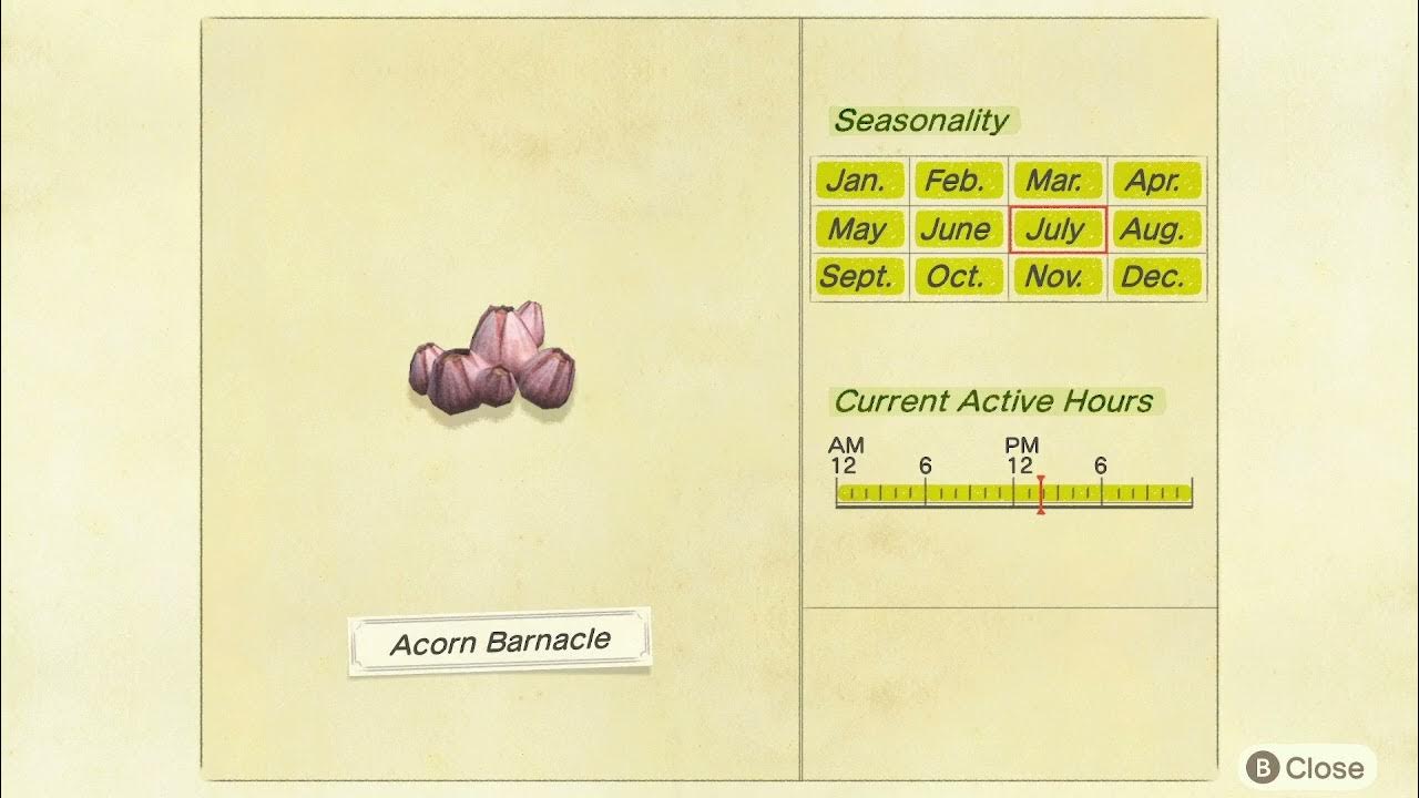 Caught My First Ever Sea Creature On ACNH YouTube caught-my-first-ever-sea-creature-on-acnh-youtube