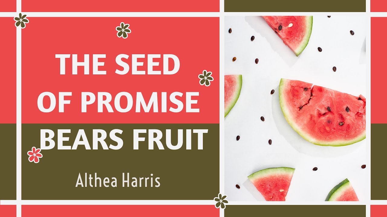 Althea Harris // The Seed of Promise Bears Fruit - YouTube