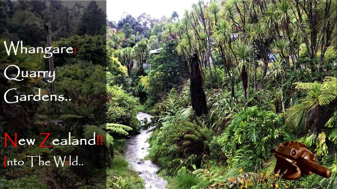 You haven’t seen this NZ’s hidden gem, Whangarei Quarry Gardens - YouTube