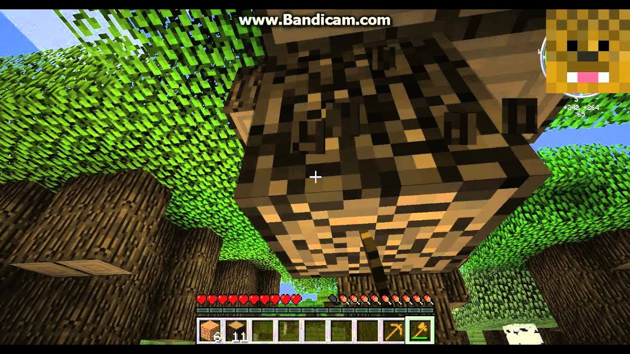 MineCraft: Series 1 Ep. 1 - YouTube