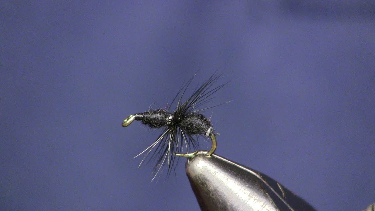 Black Ant, Beginners Fly Tying Series, Episode 2, Holsingers Fly Shop ...
