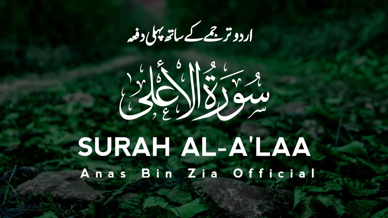 Surah Al laa Anas Bin Zia سورۃ الاعلی انس بن ضیاء Quran