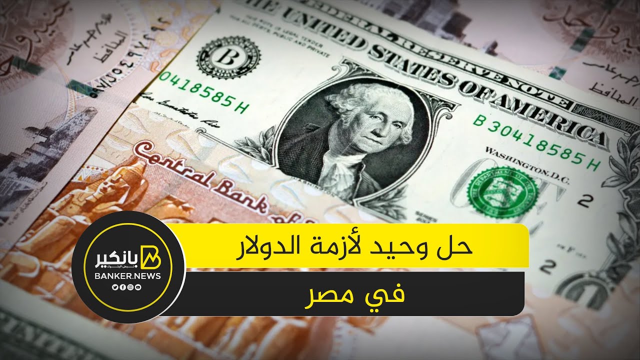 حل وحيد لأزمة الدولار في مصر يا ترى ليه الحكومة مترددة تاخد القرار