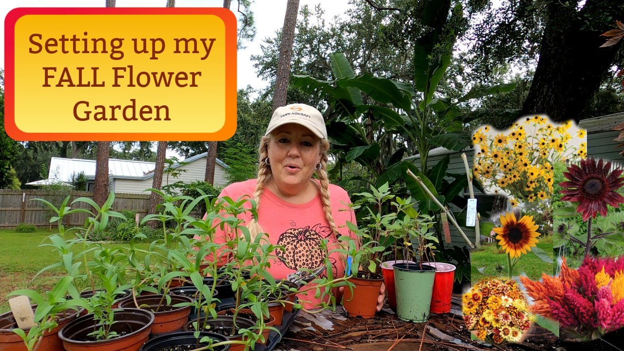 Setting up my Fall FLOWER display garden! - YouTube