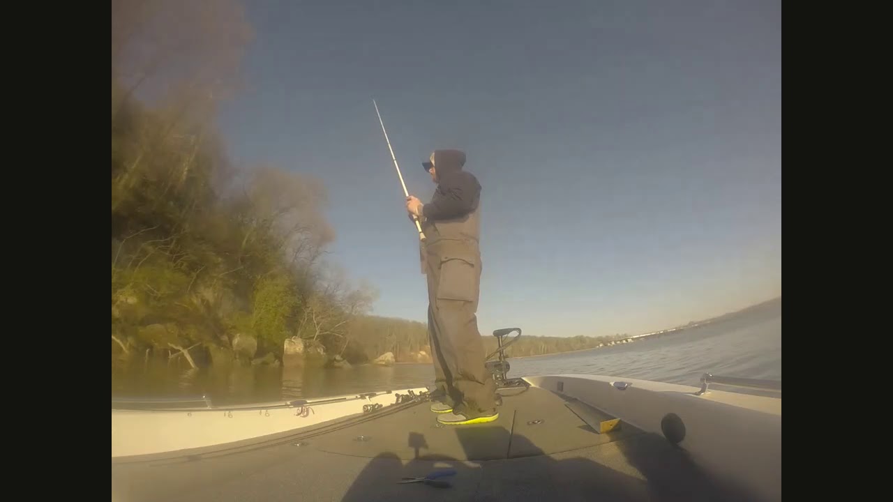 FLW BFL Potomac River BFL - YouTube