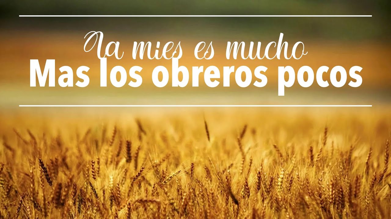 Domingo 12 de marzo PM | La mies es muchas mas los obreros pocos. - YouTube