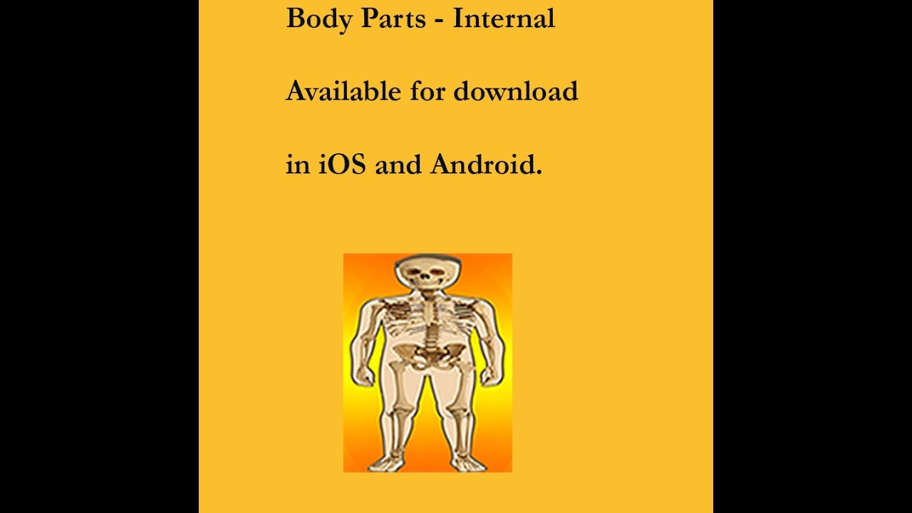 Body Parts - Skeletal Android (Ad) - Kidz Learn Applications™ - YouTube