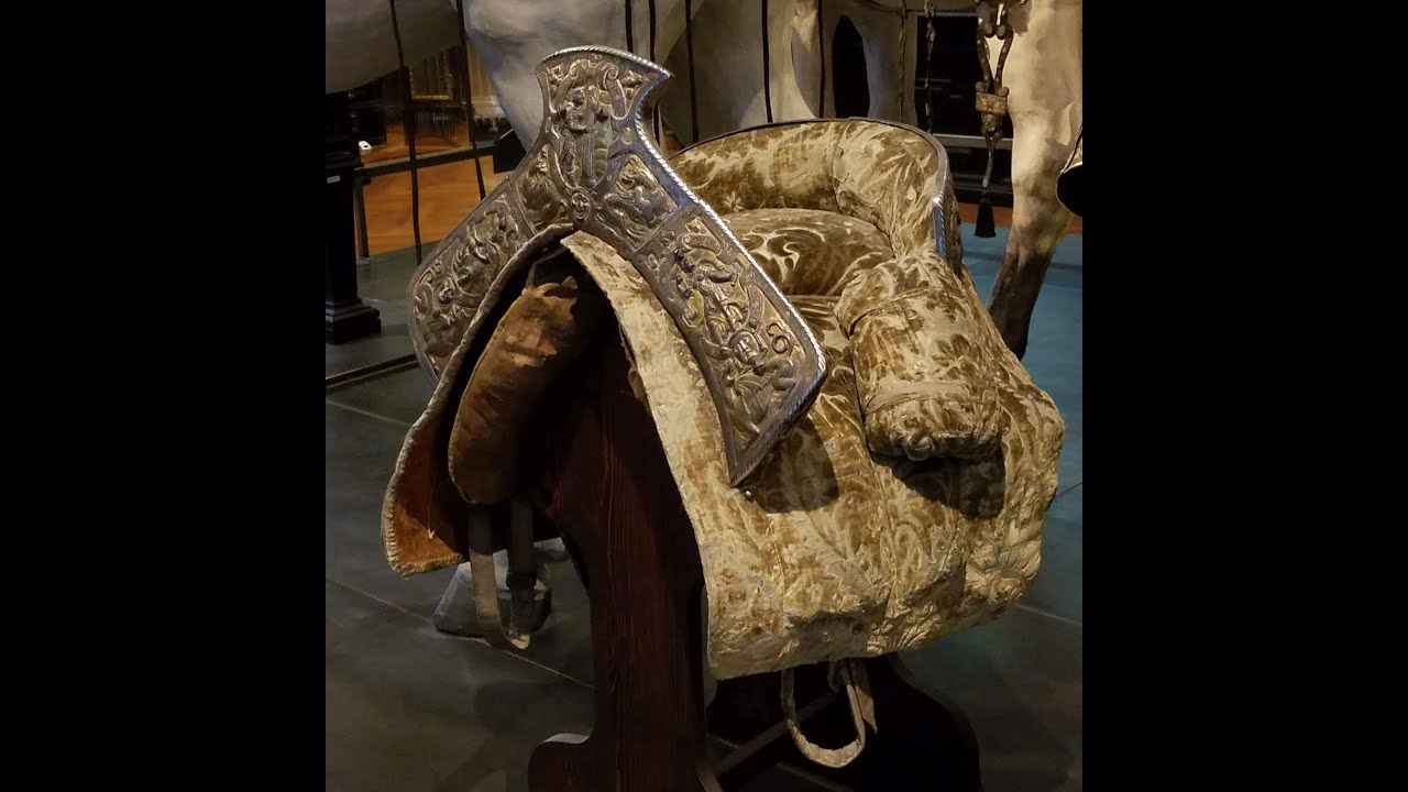 Overview of saddle structure and function for the SCA audience ...