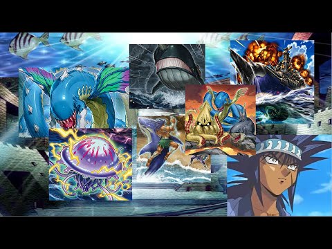 [UPDATED] Yu Gi Oh! Kairyu Shin Umi RAGING UMI Deck Profile September ...