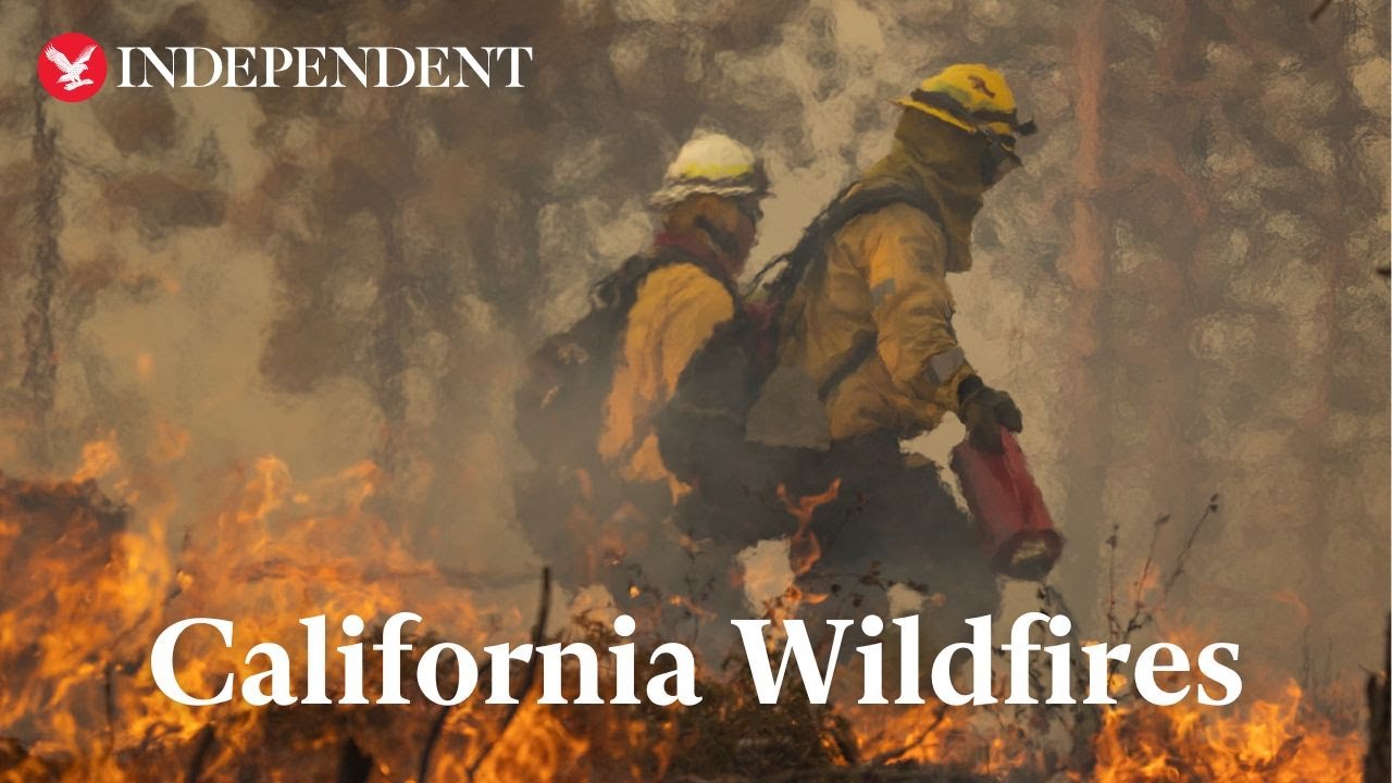 Park Fire: Blaze rips through 100,000 acres in 24 hours as suspect ...