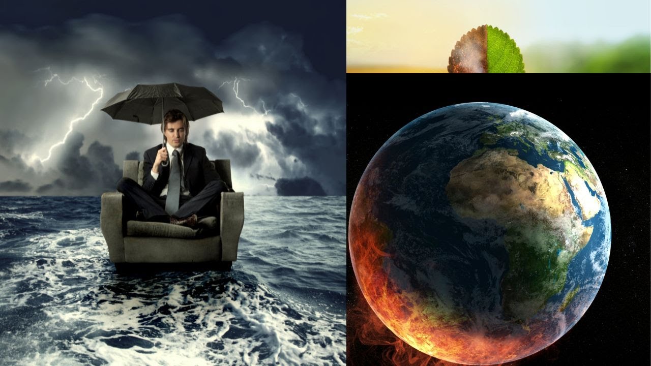 Beyond Borders: Discovering Earth's Diverse Life Forms - YouTube