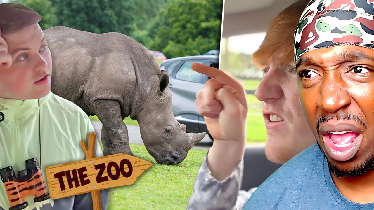 Angry Ginge and Chazza Best Moments at the Zoo (REACTION) - YouTube