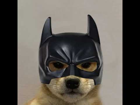 vex Live Stream - YouTube