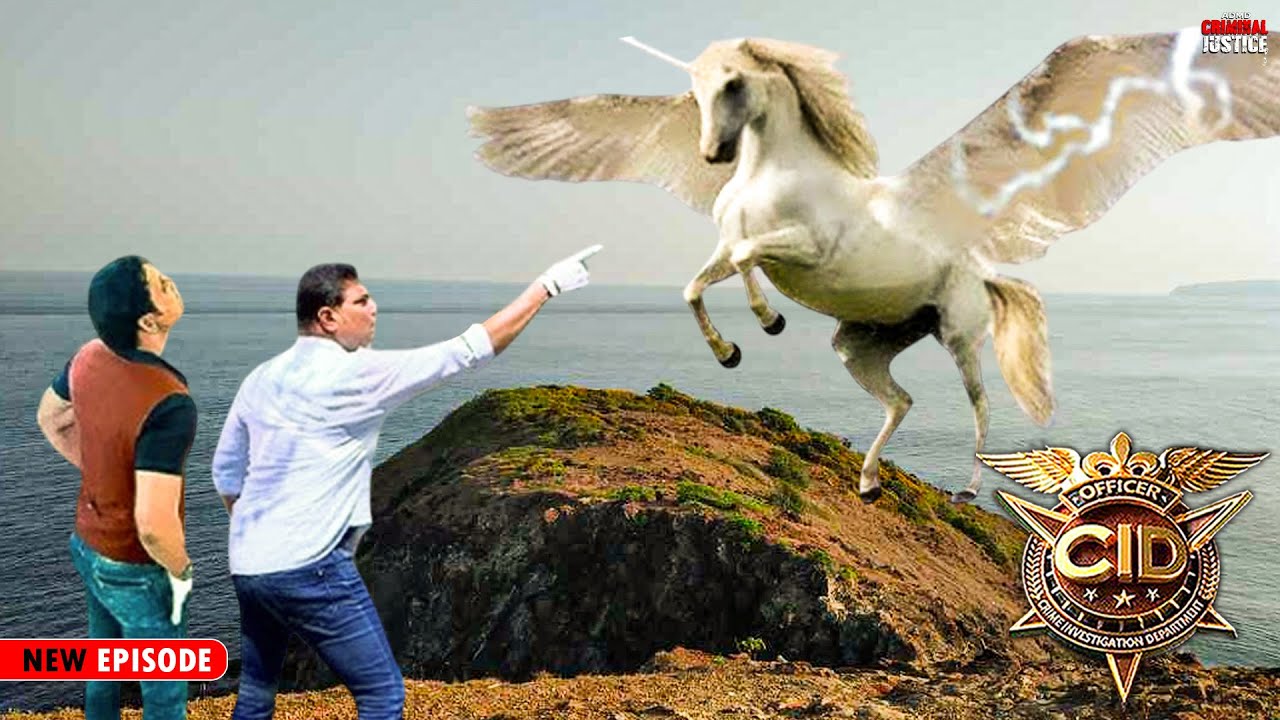 समंदर से आया जादुई घोडा, कैसे करेगा वो CID टीम की मदत ? | CID सी आई डी ...