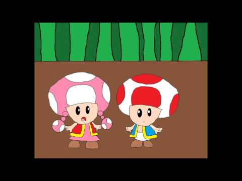 Toad & Toadette in einer großen Welt