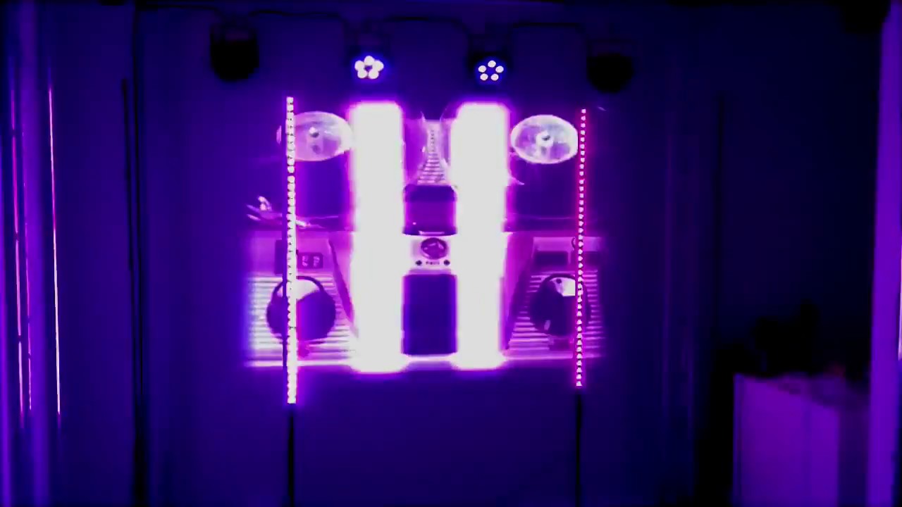 Show Buddy Active - YouTube